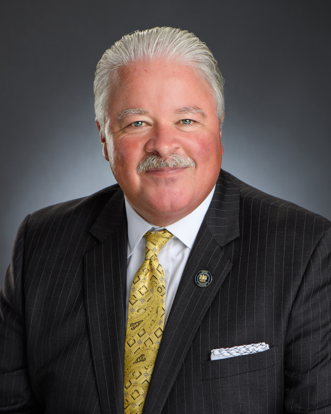 Legislative Audit Advisory Council (LAAC) | LLA